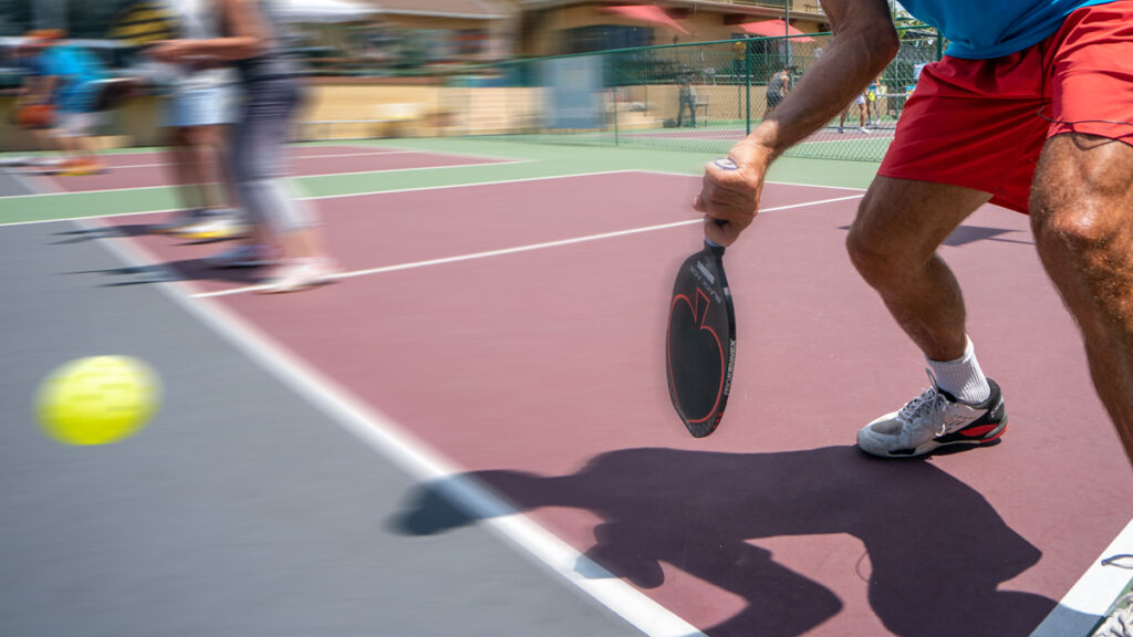 Dinks – The Art of Pickleball